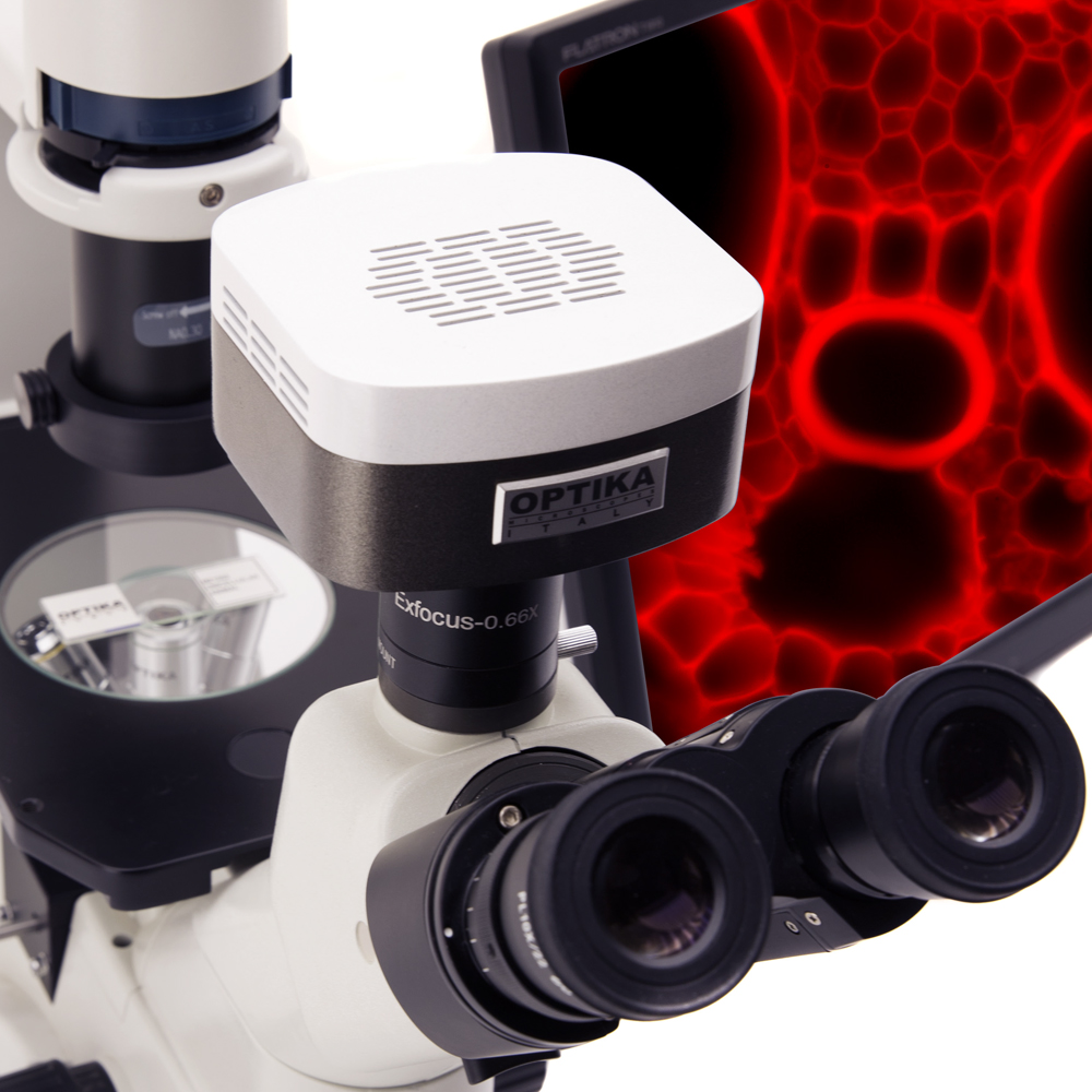 Optika IM-3 Inverted Phase Contrast Microscope, 400x, IOS LWD PLAN ...