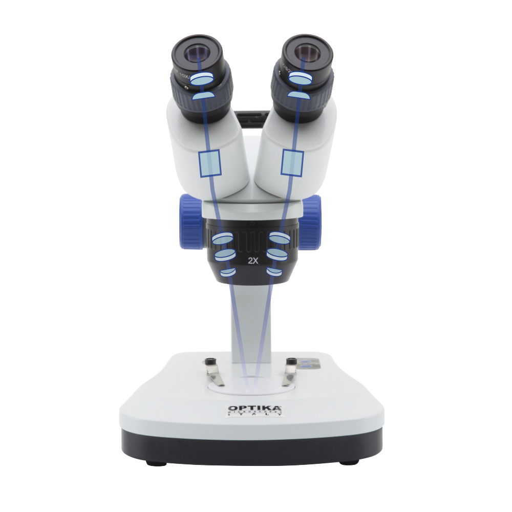 Optika SFX-33 Stereomicroscope with Fixed Arm, 20x40x, Touch Panel, LED ...