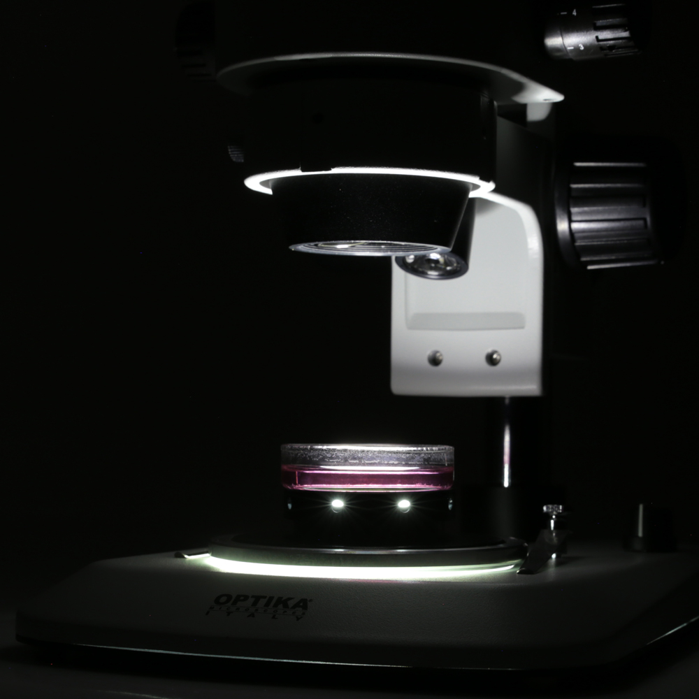 Optika SZP-6e CMO Stereomicroscope ERGO Head, 8x-50x, Zoom Ratio 6.25:1