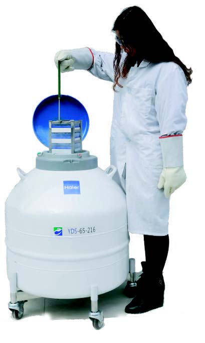 Haier Biomedical Medical Medium Sized Storage Liquid Nitrogen Cryogenic ...